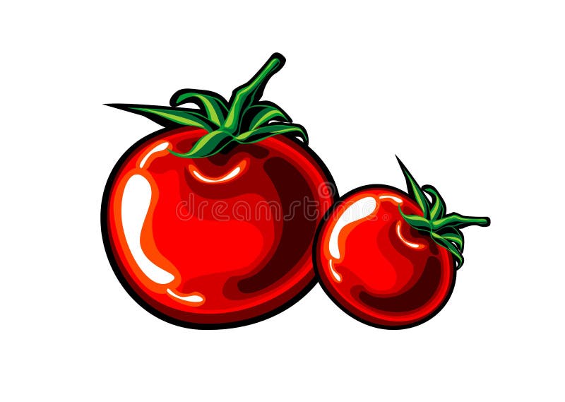 Tomato handmade animation stock vector. Illustration of october - 13564374