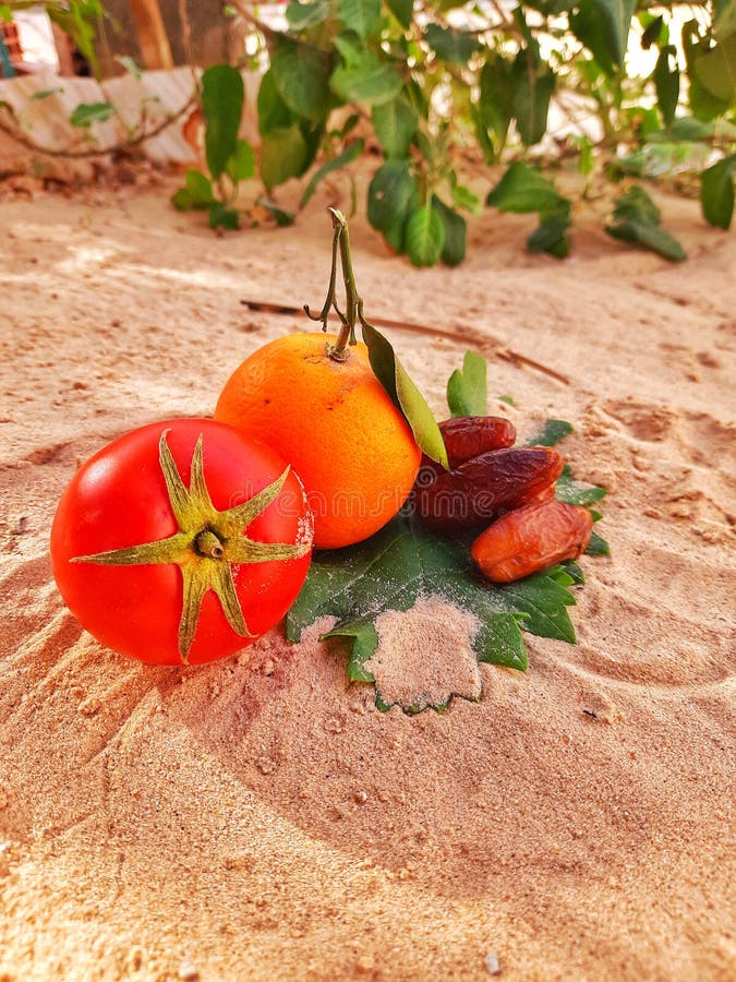 Fruits on the sand stock photo. Image of travel, south - 28180224