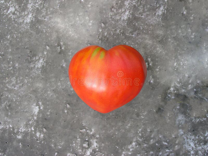 Tomato of a heart shape stock image. Image of isolated - 85873701