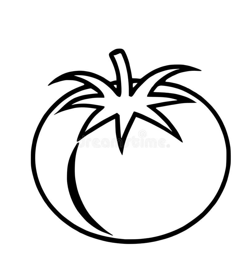 Tomato Icon. Outline Illustration of Tomato Icon for Web Stock ...