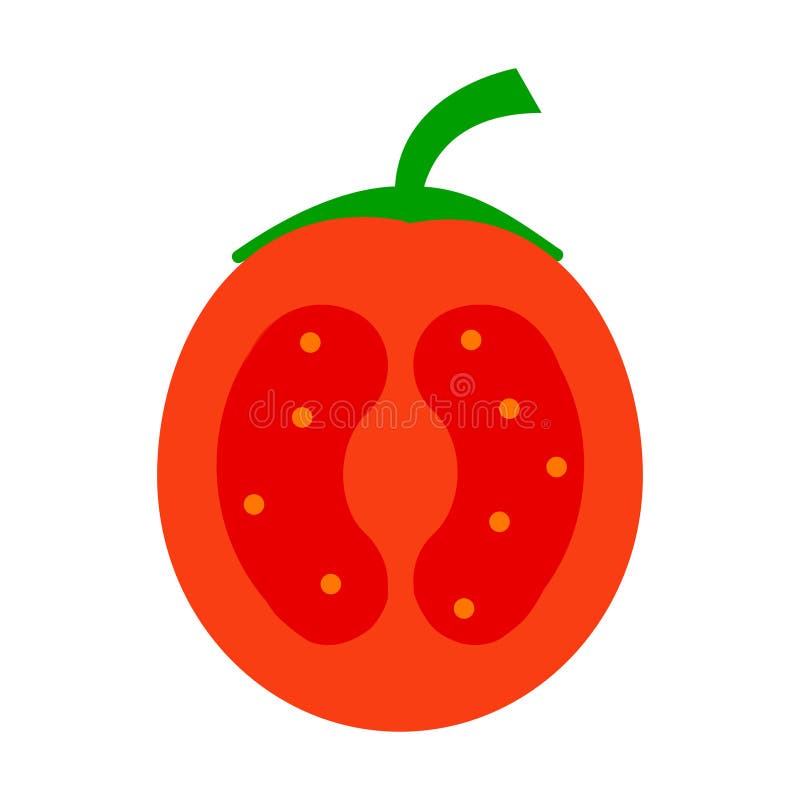 Tomato icon vector stock illustration. Illustration of isolated - 300205515