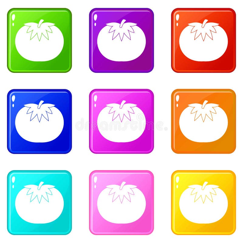 Tomato icons 9 set stock vector. Illustration of isolated - 96086147