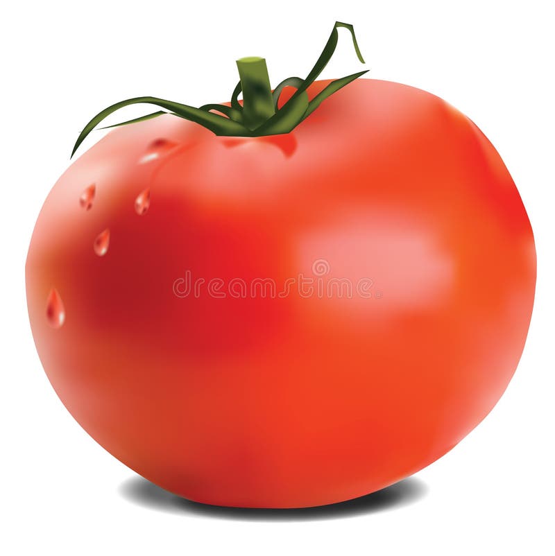 Full Ripen Stock Illustrations – 72 Full Ripen Stock Illustrations ...