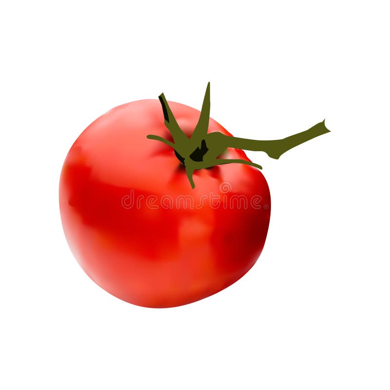 Realistic Hand Drawing Illustration Stock Illustrations – 124,148 ...