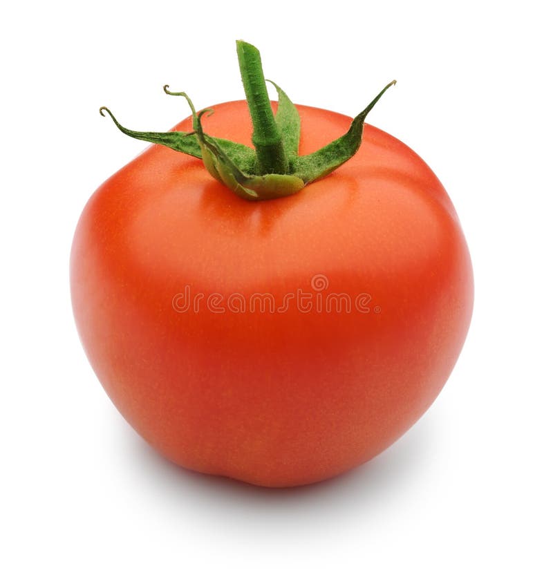 One Tomato stock photo. Image of fresh, sauce, juicy, healthy - 1008220