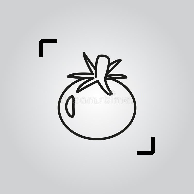 Tomato Isolated Single Simple Cartoon Illustration Stock Vector ...