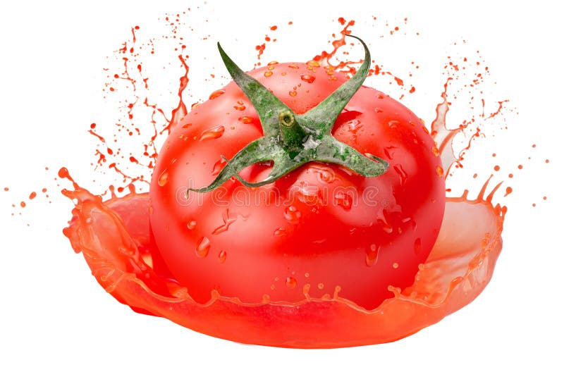 Tomato Juice Splash Isolated On White Background Stock Photo - Image of ...