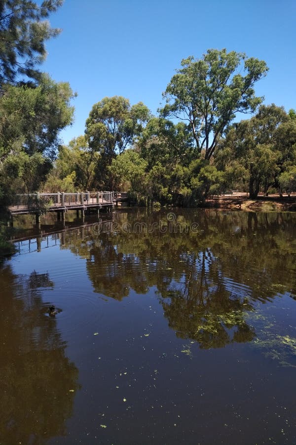 Tomato Lake stock image. Image of tomato, trail, lake - 108673923