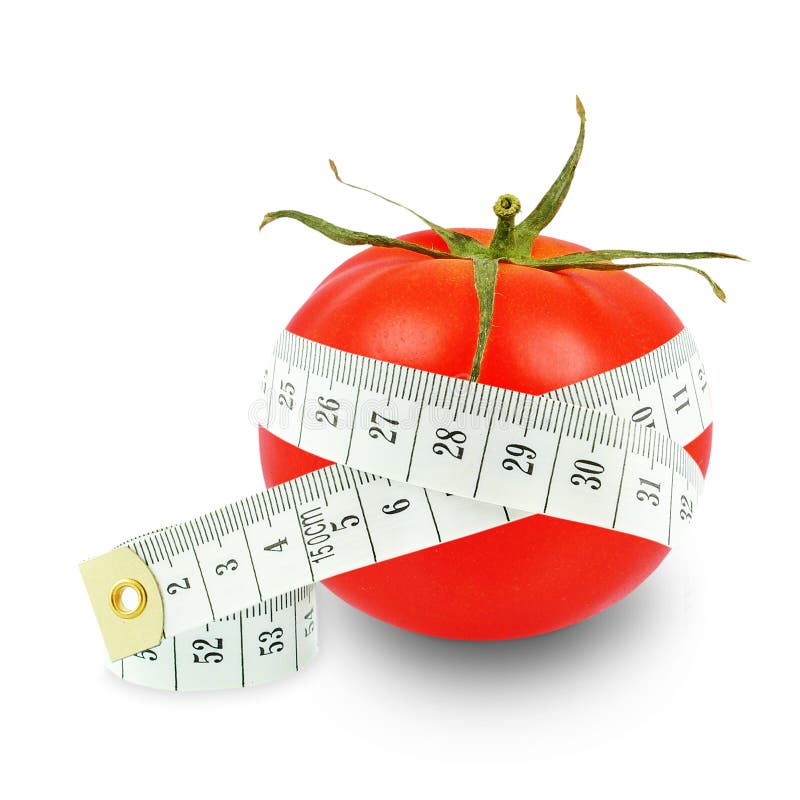 Tomato with meter stock photo. Image of vegetables, nature - 13335630