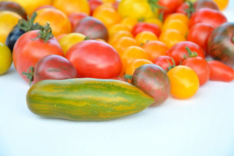 Tomato mix colors stock photo. Image of nature, vegetable - 63255960