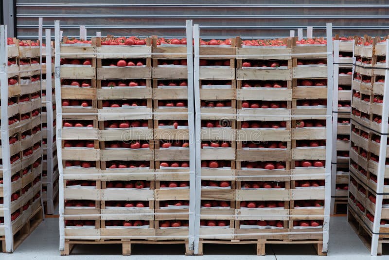 Food at Pallets stock photo. Image of food, produce - 178217526