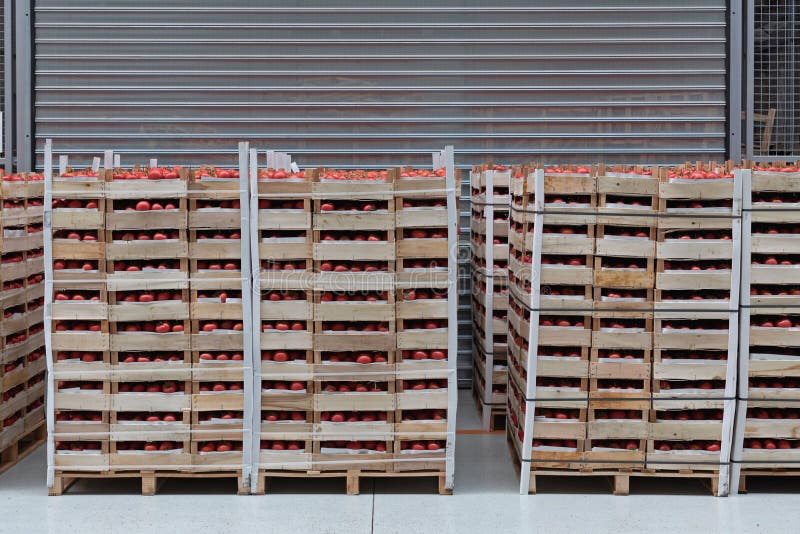 Food at Pallets stock photo. Image of food, produce - 178217526