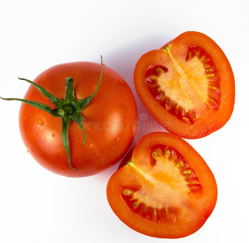 Tomato stock photo. Image of white, produce, vitality - 66672434