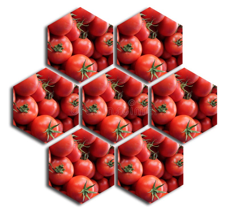 Tomato stock photo. Image of ingredient, green, full - 29745808