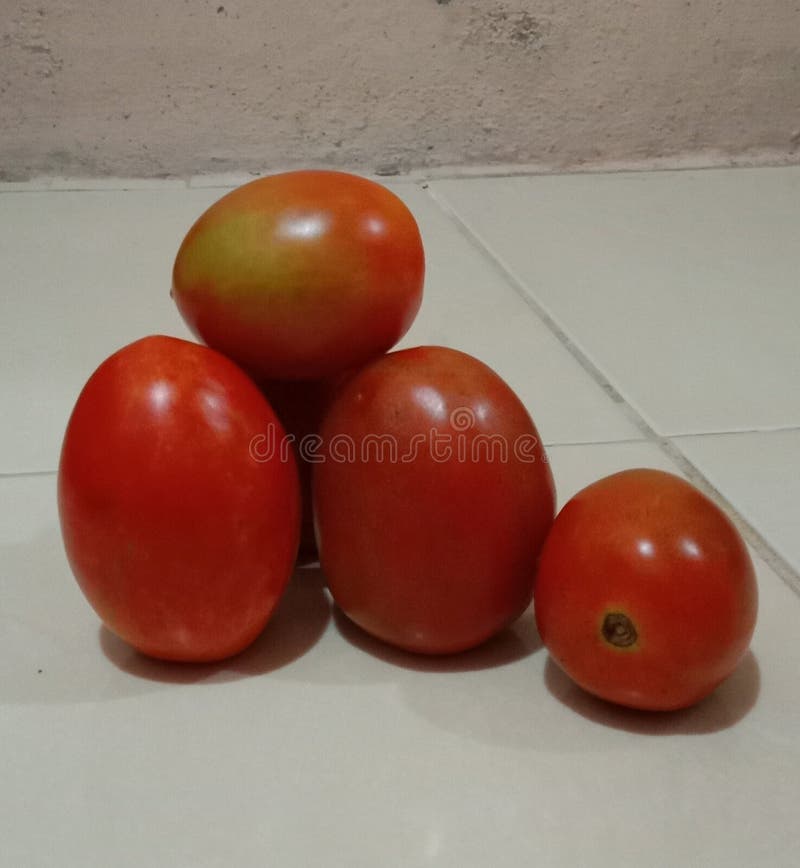 Tomato Red Real and Beautifull always Stock Photo - Image of real ...