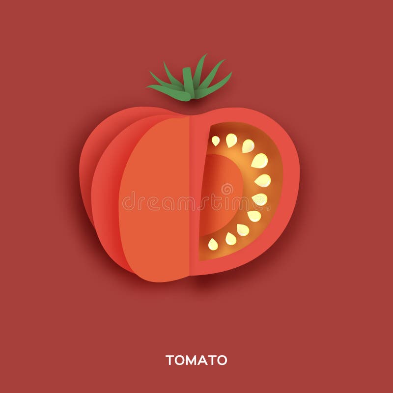Tomato Front Stock Illustrations – 970 Tomato Front Stock Illustrations ...