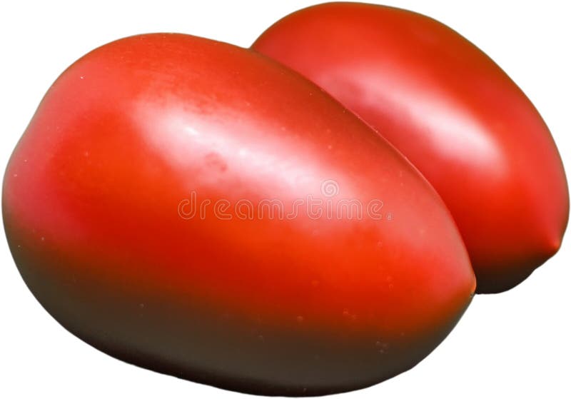 Tomato, Roma, is a Plum Tomato Popularly Used Both for Canning and ...
