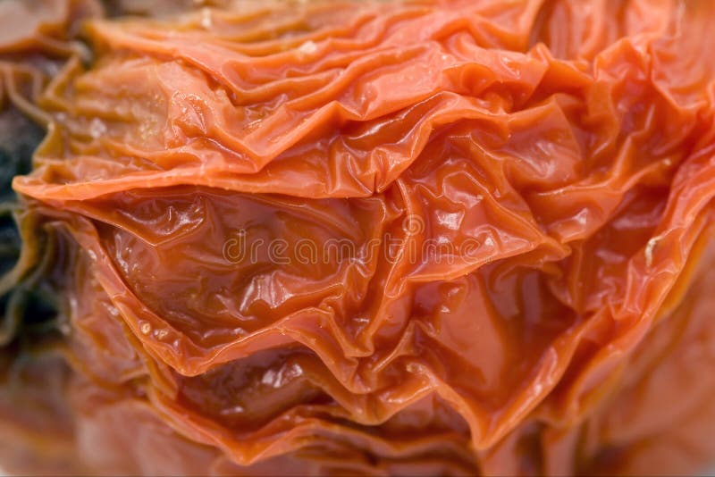 Tomato - Rotten Skin Detail Stock Image - Image of rotten, death: 9062195