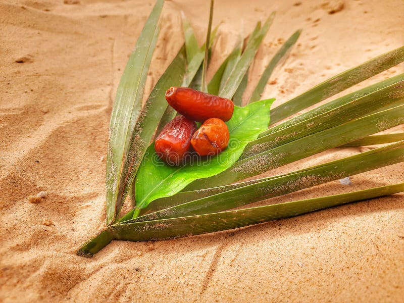 Tomato in Sand Dunes on Desert Stock Photo - Image of desert, sand ...
