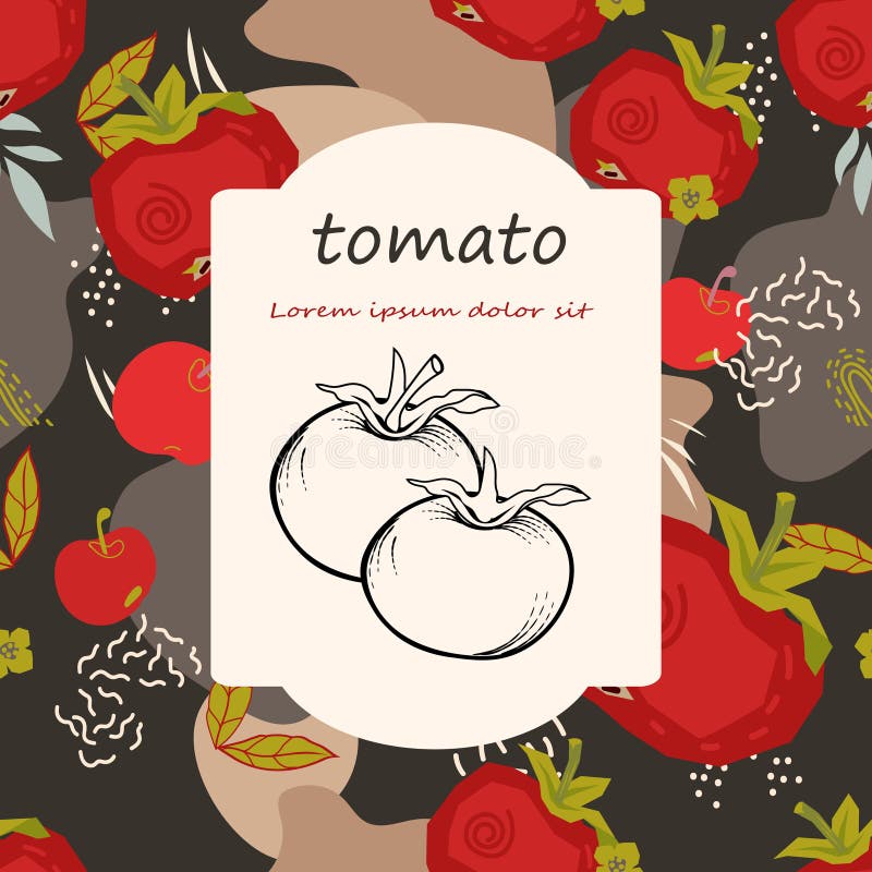 Tomato Sauce Label Design Template, Hand Drawn Vector Illustration ...