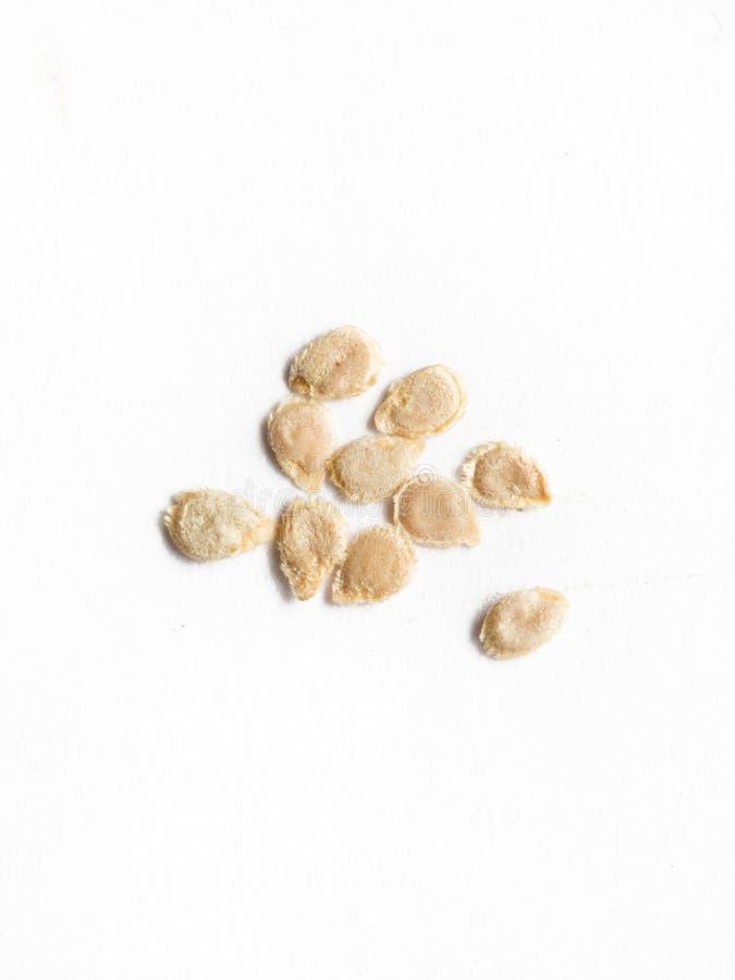 48,053 Tomato Seed Stock Photos - Free & Royalty-Free Stock Photos from ...