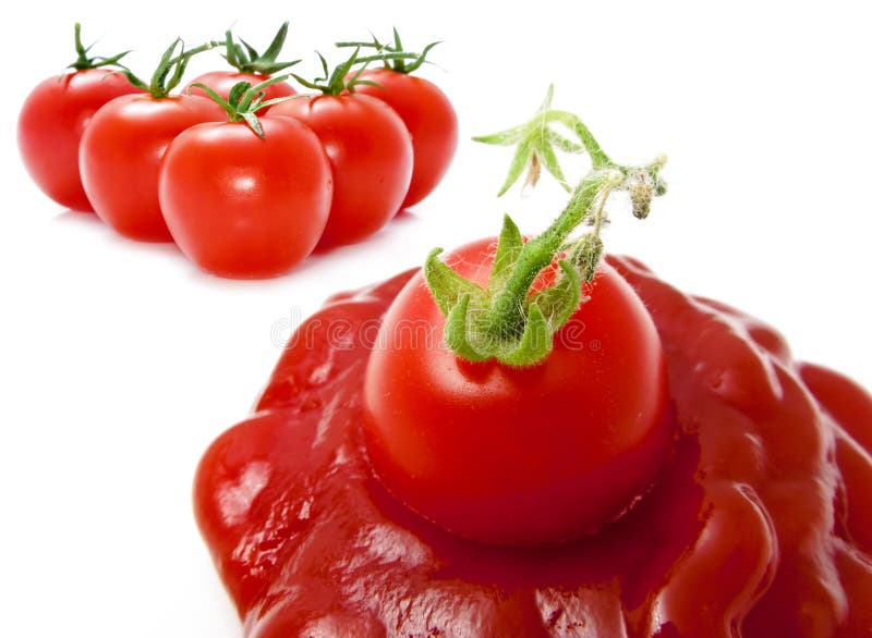 Tomato Smashed into Ketchup Stock Image - Image of ketchup, messy: 8640351