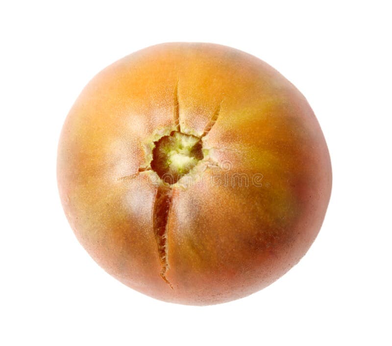 A Tomato is Shown in Its Entirety, with the Stem Stock Image - Image of ...
