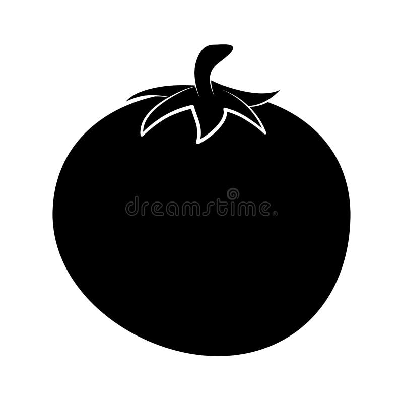 Simple Tomato Outline for Colouring Book Isolated on White Background ... Simple Tomato Outline for Colouring Book Isolated on White Background ...