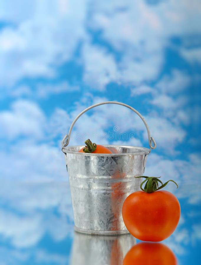 Tomato in silver bucket stock photo. Image of closeup - 20548474