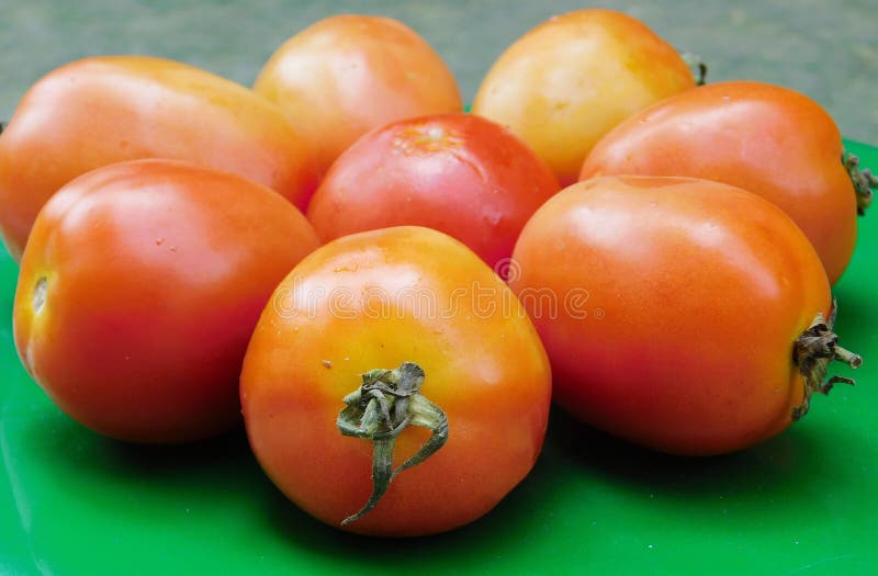 Tomato on the silver disk stock image. Image of food - 210204661