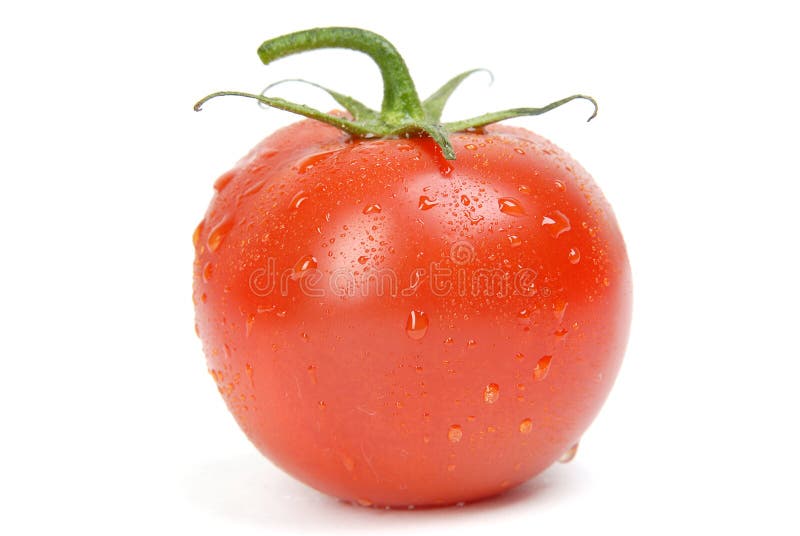 Tomato single stock photo. Image of healthy, freshness - 3035492