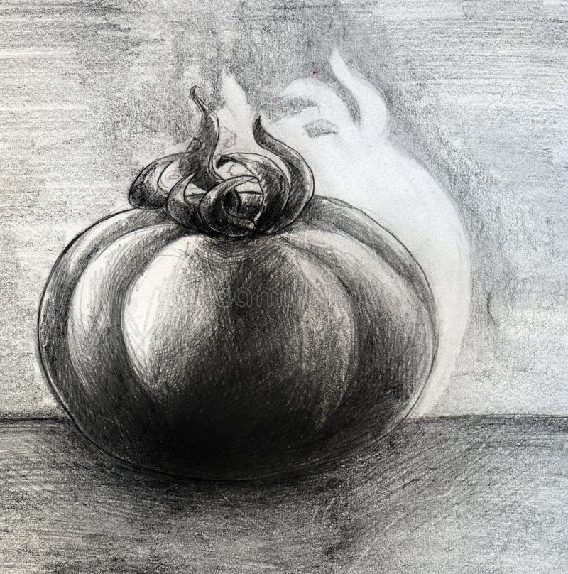 Shadow Pencil Sketch Stock Illustrations – 8,263 Shadow Pencil Sketch ...