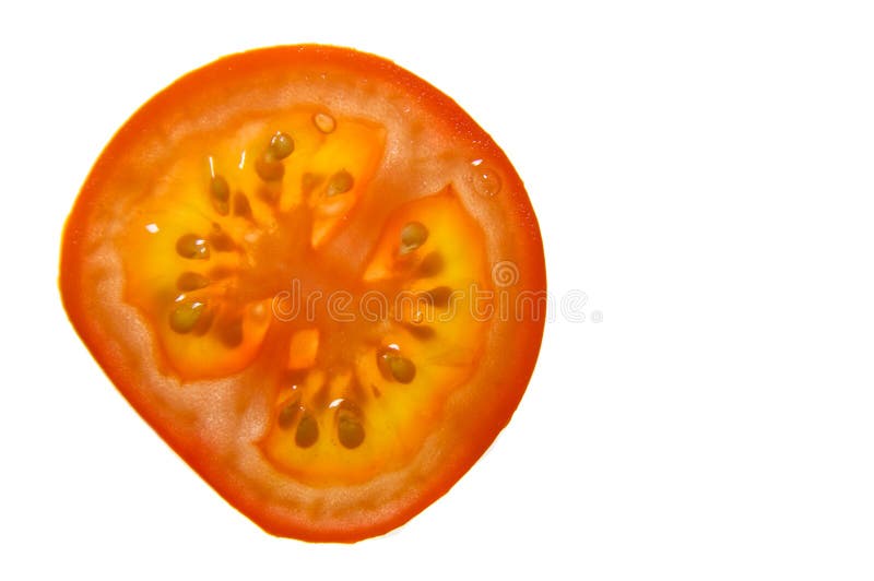 517 Tomato Profile Stock Photos - Free & Royalty-Free Stock Photos from ...