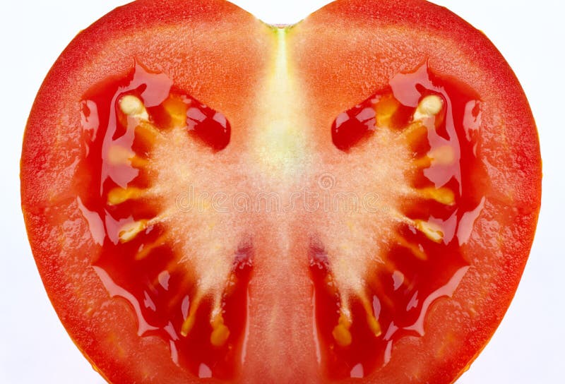 Tomato Slice stock photo. Image of plant, vegetable, cook - 26804804