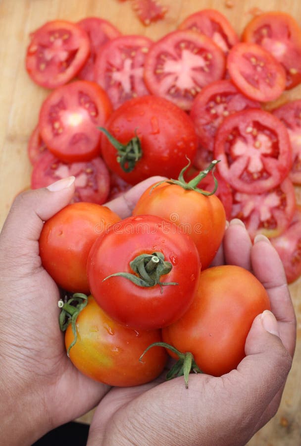 Tomato slice stock image. Image of salad, freshness, food - 37510867