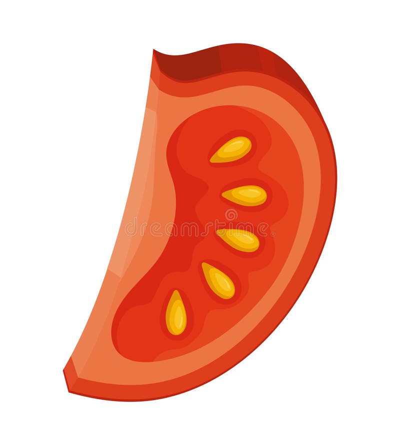 Tomato slice icon stock vector. Illustration of snack - 226897429