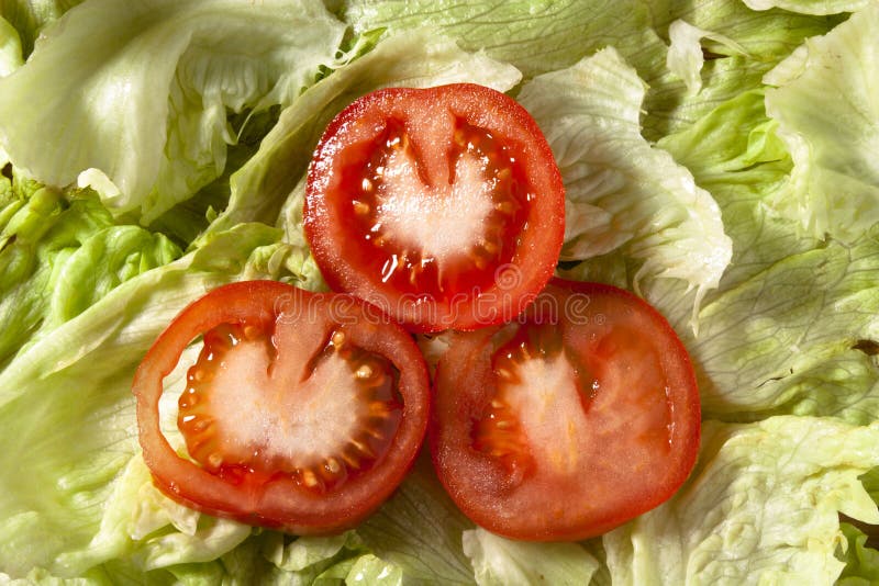 Tomato Slices on Salad stock image. Image of still, slices - 13244131