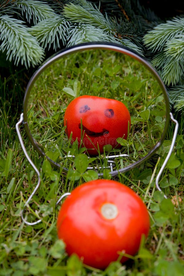 Tomato Smiley Smile Looking in the Mirror Stock Photo - Image of dish ...
