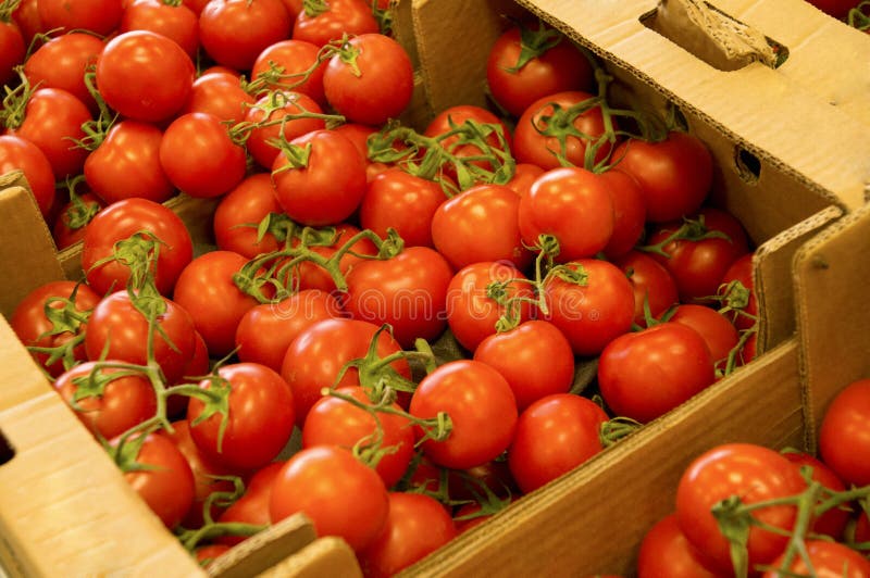 Tomato stock image. Image of vitamin, natural, supermarket - 30896845