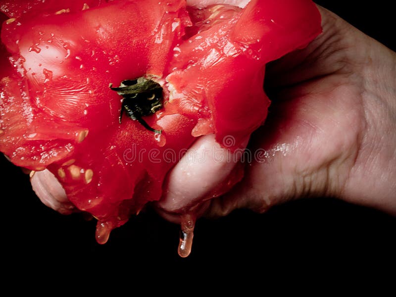 Tomato Squeeze stock photo. Image of closeup, fresh, tasty - 11581082 Tomato Squeeze stock photo. Image of closeup, fresh, tasty - 11581082