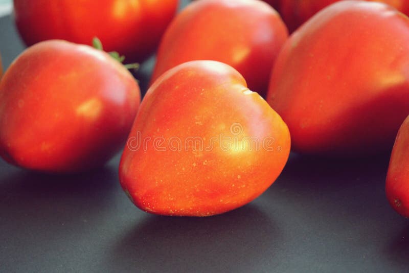 Tomato on table stock photo. Image of harvast, orange - 120740656
