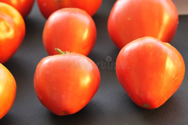 Tomato on table stock photo. Image of healthy, table - 120740878