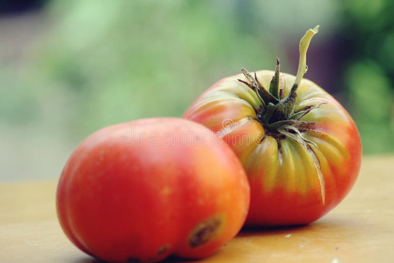 Tomato on table stock image. Image of healthy, orange - 120125769