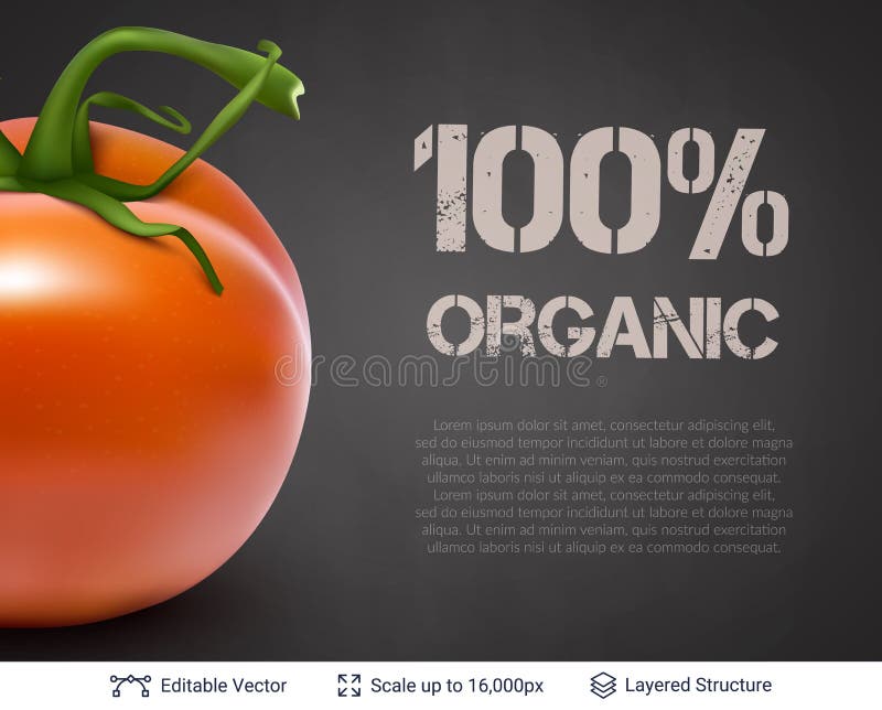 Tomato Text Logo. Lettering of Vegetables. Letters and Slice Stock ...