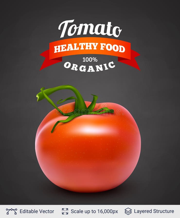Tomato Text Logo. Lettering of Vegetables. Letters and Slice Stock ...