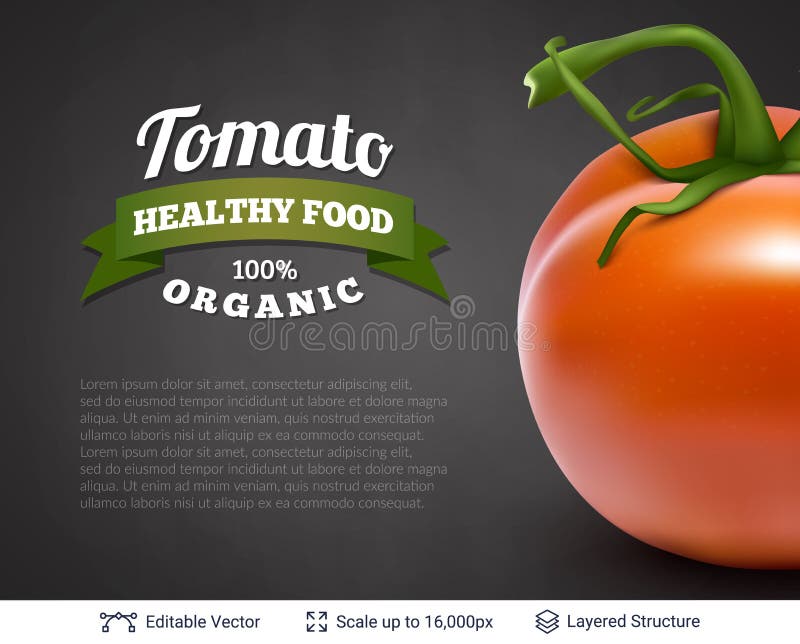 Tomato Text Logo. Lettering of Vegetables. Letters and Slice Stock ...