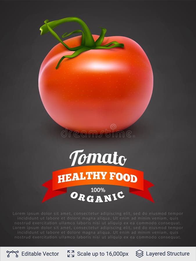 Tomato Text Logo. Lettering of Vegetables. Letters and Slice Stock ...