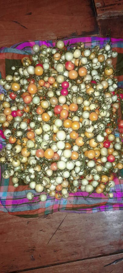 959 Does Ageist Mean Stock Photos - Free & Royalty-Free Stock Photos ...