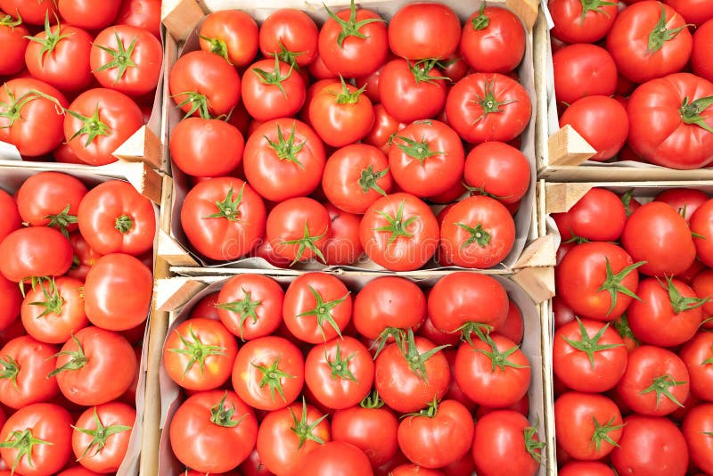 Tomato Top stock photo. Image of fruits, grocery, tomato - 178218476