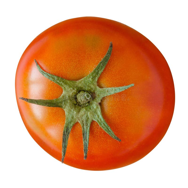 Tomato top view, close up stock photo. Image of healthy - 43228082